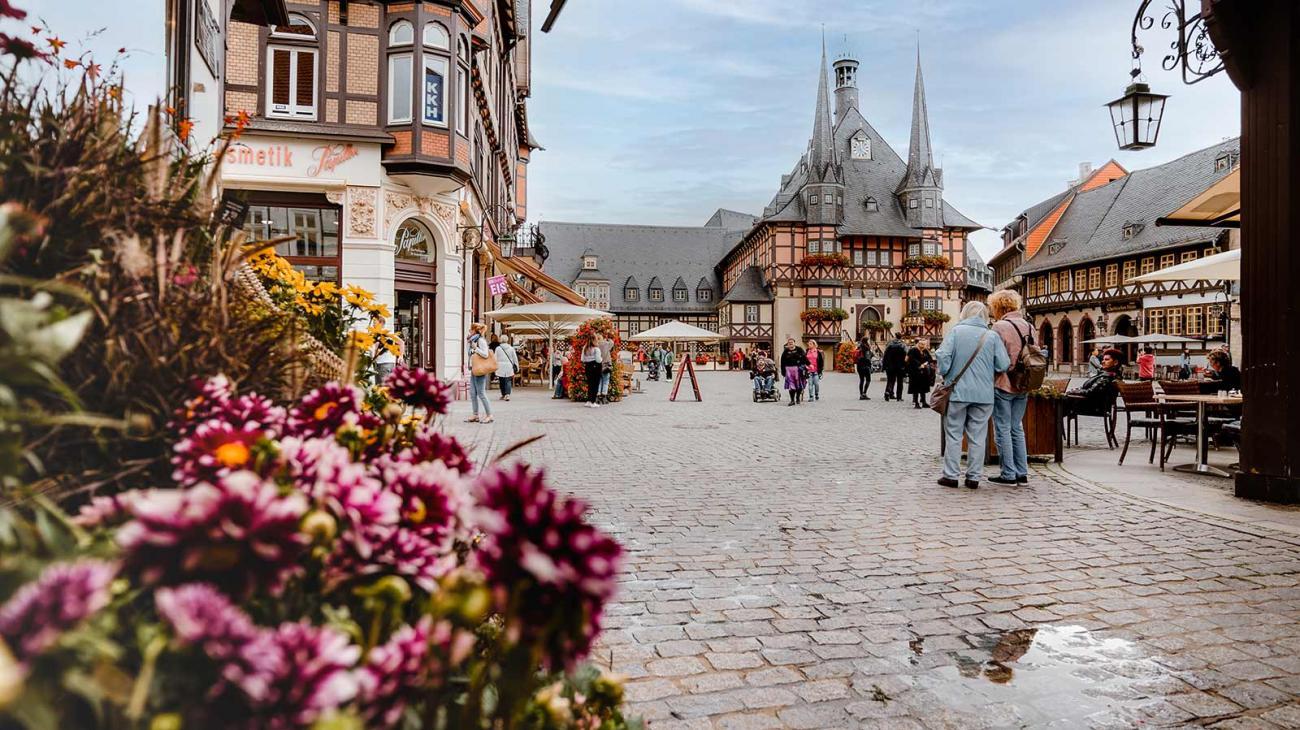 Wernigerode Tourismus Die bunte Stadt am Harz entdecken auf ...